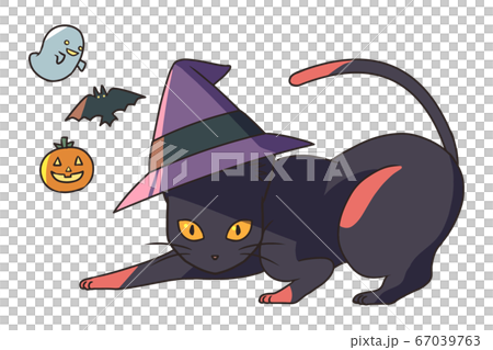Black cat and triangular hat - Stock Illustration [67039763] - PIXTA