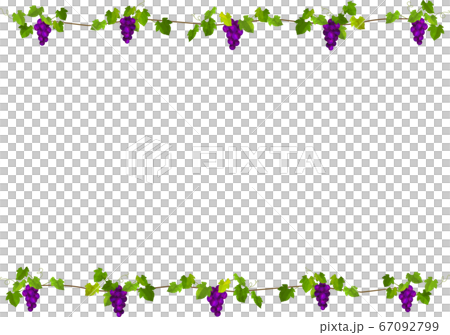 Purple grape frame, white background - Stock Illustration [67092799 ...
