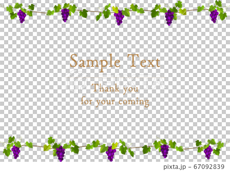 Purple grape frame, white background - Stock Illustration [67092839 ...
