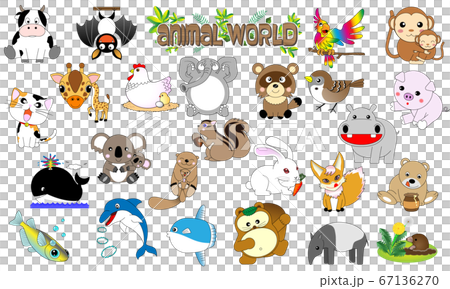 25 animals - Stock Illustration [67136270] - PIXTA