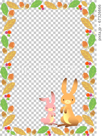 Frame rabbit and acorn - Stock Illustration [67326666] - PIXTA