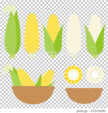 Geometric corn illustration set - Stock Illustration [67343090] - PIXTA