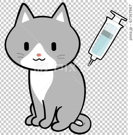 Cat hitting the injection - Stock Illustration [67367667] - PIXTA