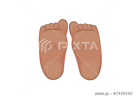 Vector illustration of a baby solesのイラスト素材 [67430592] - PIXTA
