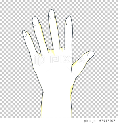 One white hand spread out - Stock Illustration [67547107] - PIXTA