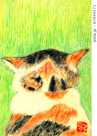 CAT calico cat Back view Green backgroundのイラスト素材 [67644571] - PIXTA