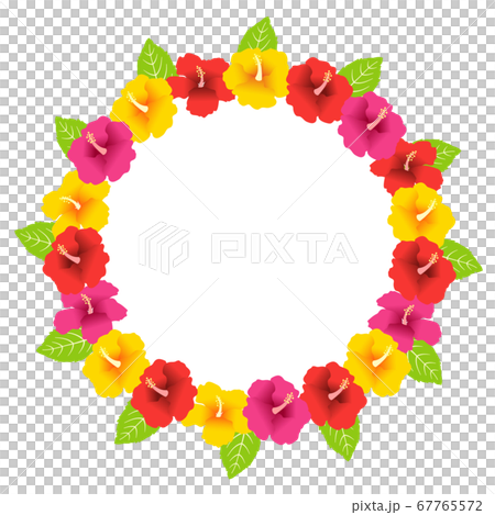 Round frame of colorful hibiscus - Stock Illustration [67765572] - PIXTA