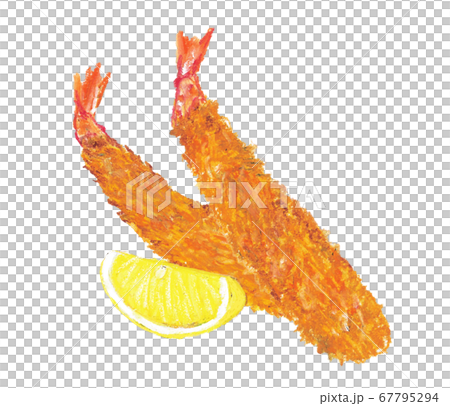 Illustration shrimp fried - Stock Illustration [67795294] - PIXTA