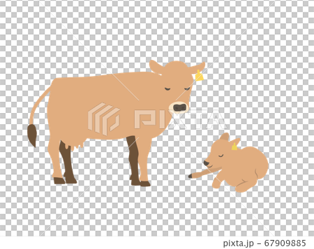 Illustration of cow parent and child jersey breed - Stock Illustration ...