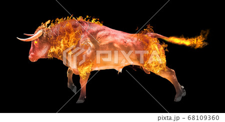 Fiery bull on a black background.の写真素材 [68109360] - PIXTA