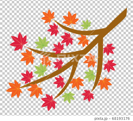 Autumn colored tree branches in autumn colors - Stock Illustration ...