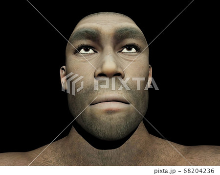 Homo Erectus Face