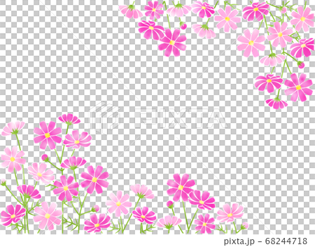 Cosmos frame - Stock Illustration [68244718] - PIXTA