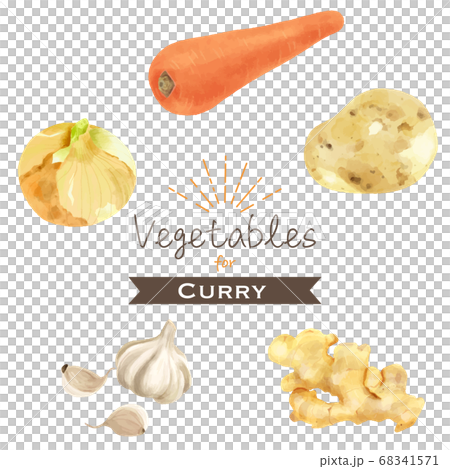 Vegetable set for curry Watercolor style - Stock Illustration [68341571 ...