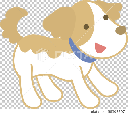 Buchi dog - Stock Illustration [68508207] - PIXTA
