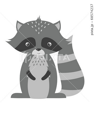 adorable raccoon isolated on white, vectorのイラスト素材 [68574237] - PIXTA