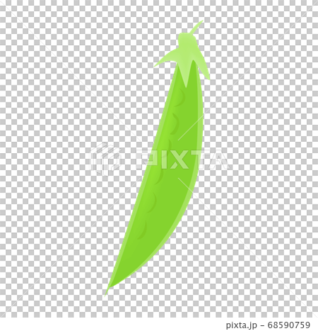 Silk pods (vector illustration of Yasai) - Stock Illustration [68590759 ...