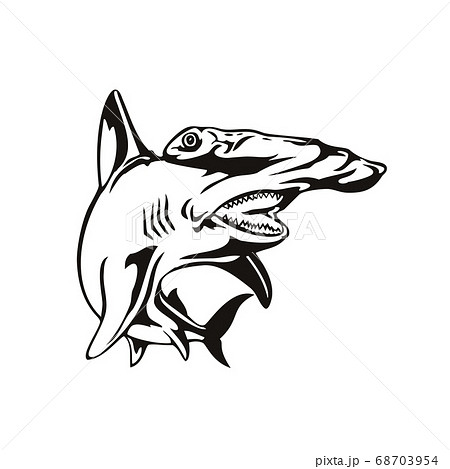Hammerhead Shark Line Drawing