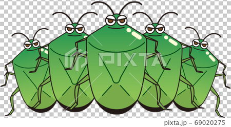 Horde of stink bugs - Stock Illustration [69020275] - PIXTA