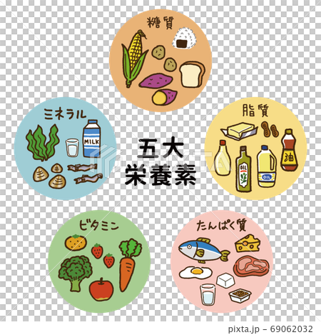 Icon set of five major nutrients - Stock Illustration [69062032] - PIXTA