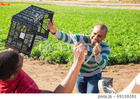 Farm workers with knifes fighting on fieldの写真素材 [69139281] - PIXTA