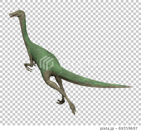 Gallimimus - Stock Illustration [69359697] - PIXTA