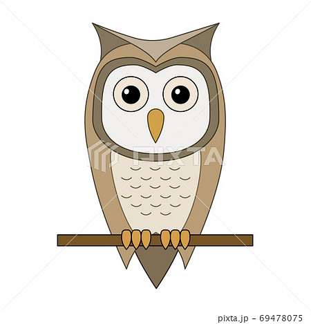 Screech Owl Cartoon