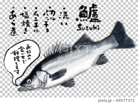 Sea bass _D hand-painted _ with characters - Stock Illustration ...
