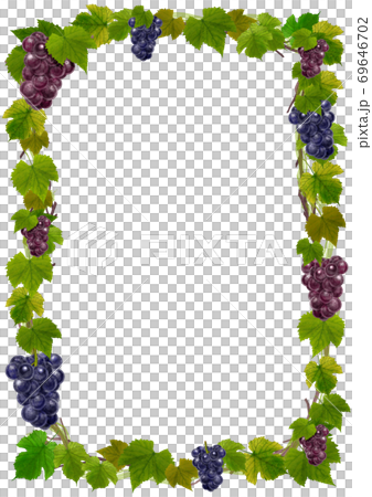 Illustration of a realistic touch grape frame - Stock Illustration ...
