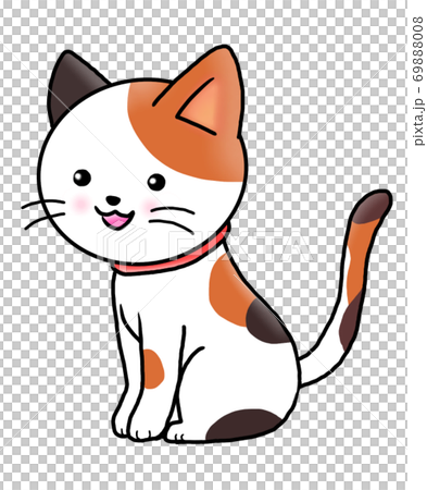 Mike cat with a round face - Stock Illustration [69888008] - PIXTA