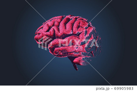 Vector brain damage illustration isolated on...のイラスト素材 [69905983] - PIXTA