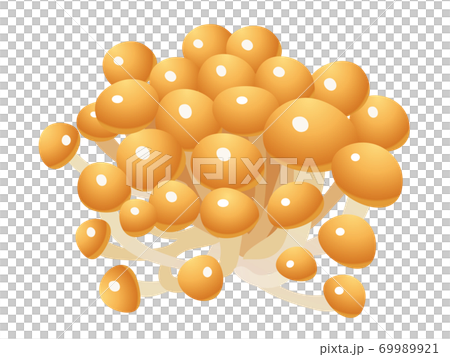 Nomeko - Stock Illustration [69989921] - PIXTA