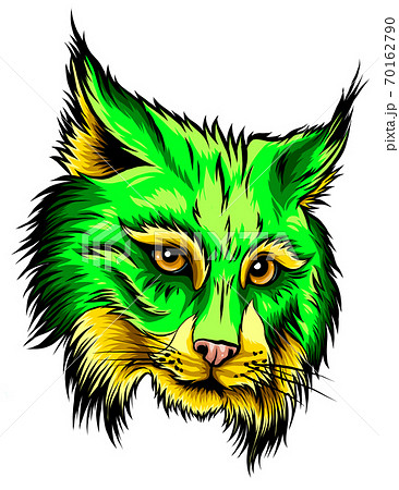 The illustration shows an angry bobcat face....のイラスト素材 [70162790] - PIXTA