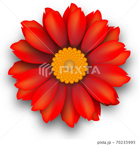 Red Daisy Flower Clip Art