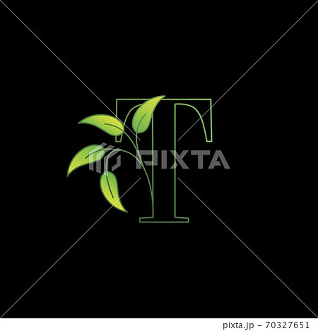Letter T Found In Nature