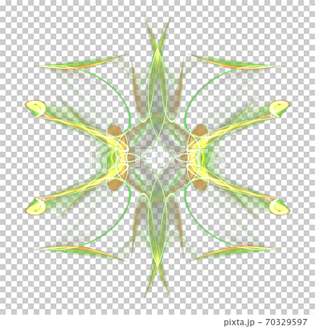 Beautiful digon (transparent PNG background)... - Stock Illustration ...