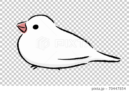 Java sparrow standing a little - Stock Illustration [70447854] - PIXTA