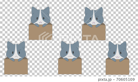 A cat character (Hachiware) who enters the box... - Stock Illustration ...