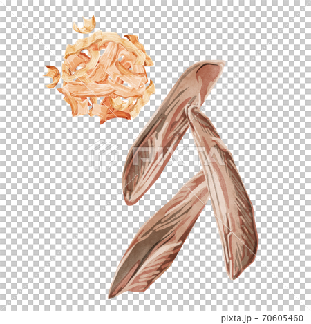 鰹節と削り節の水彩風イラストのイラスト素材 [70605460] - PIXTA