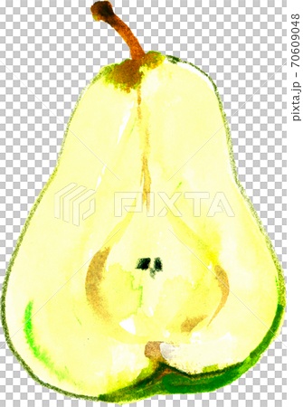 Pear cross section - Stock Illustration [70609048] - PIXTA
