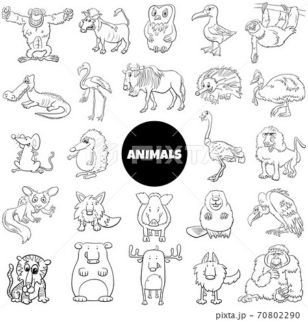 Wild Animals Clip Art Black And White