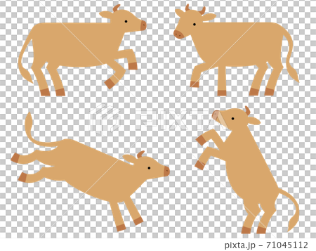 Brown cow deformed illustration set - Stock Illustration [71045112] - PIXTA
