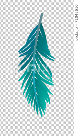 Vector illustration of colored plume. - Stock Illustration [71045610 ...