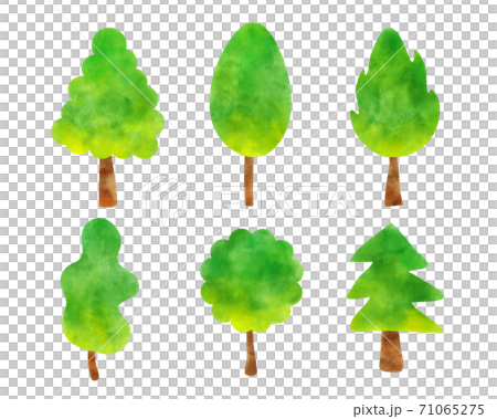 Watercolor texture_tree set - Stock Illustration [71065275] - PIXTA