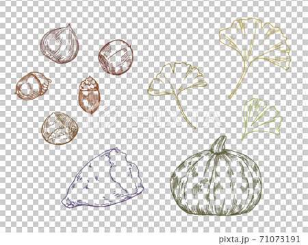 Autumn item pen drawing - Stock Illustration [71073191] - PIXTA