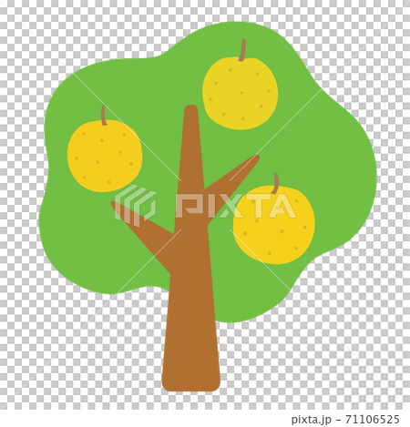 Pear tree icon - Stock Illustration [71106525] - PIXTA