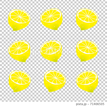 Cut lemon pattern - Stock Illustration [71406505] - PIXTA