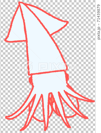 Squid eating shrimp (red) - Stock Illustration [71439879] - PIXTA