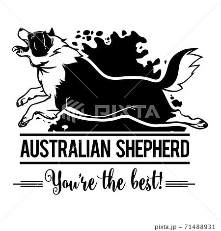 Shepherd Logo