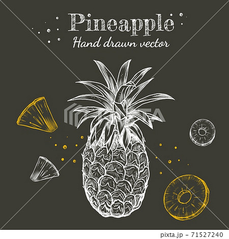 Pineapple Fruit Art